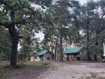 Letnie Zori (gorodskoy okrug Voronezh, Zheleznodorozhniy District), tatil köyleri  Voronej'den