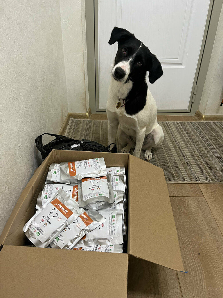 Evcil hayvan yemi üretimi Frisbee, Murino, foto