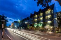 Otel Big Tree Old Town Hotel, Chiang Mai, foto