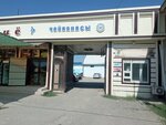 Зиё чайхана (ulitsa Mamazhana Batirova No:30, selo VLKSM), kafe  Oş İli'nden