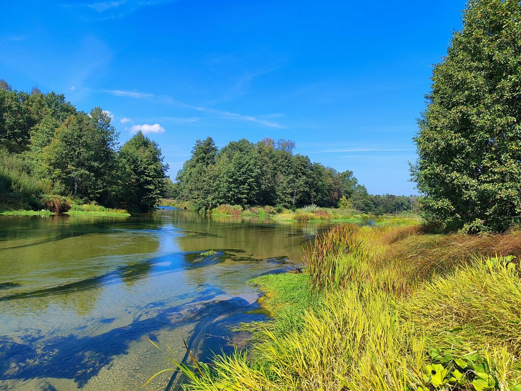 Doğa Лушмарский брод, Mariy El Cumhuriyeti, foto