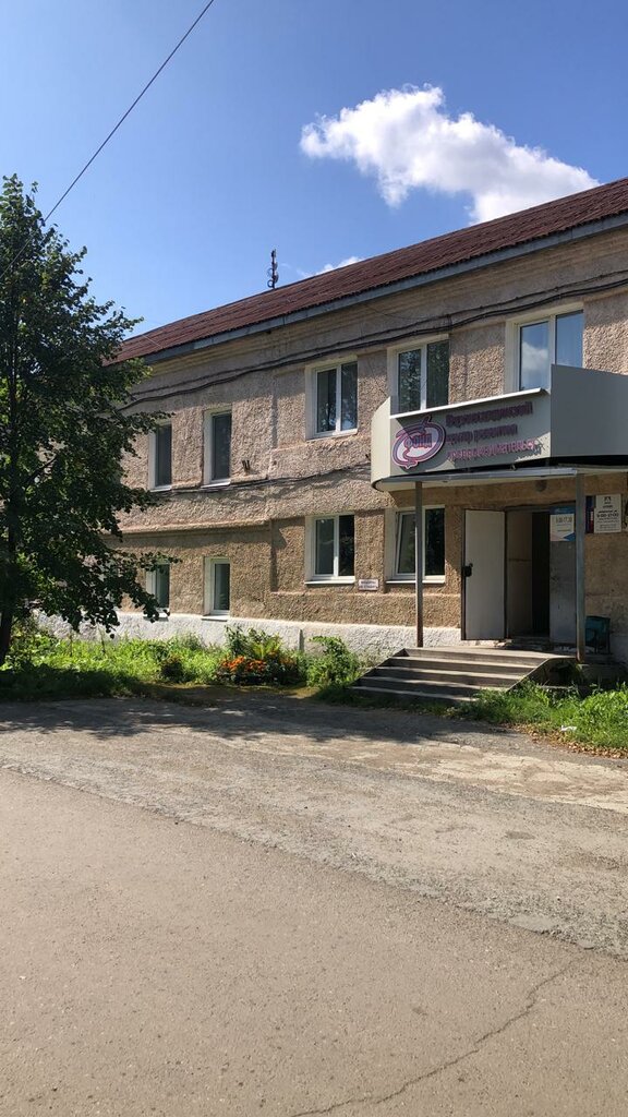 Meslek yüksekokulu ЧПОУ Социально технологический техникум, Verhniaya Salda, foto