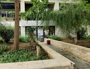 Jerarsi Neurofeedback (S. Khabeishvili Street No:49B), masaj salonları  Tiflis'ten
