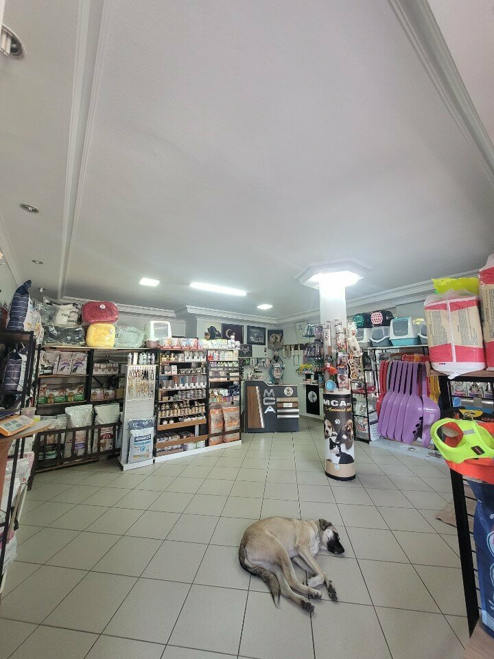 Petshop Mca Petshop, Ankara, foto