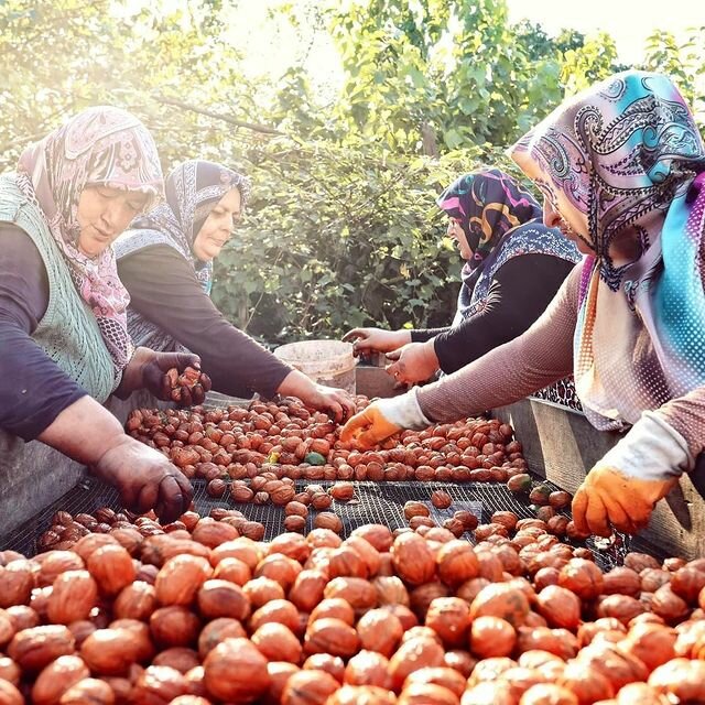 Belediyeler, devlet daireleri İnegöl Belediyesi Alanyurt Ek Hizmet Binası, İnegöl, foto