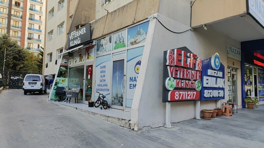 Veteriner klinikleri Elif Veteriner Kliniği, İstanbul, foto