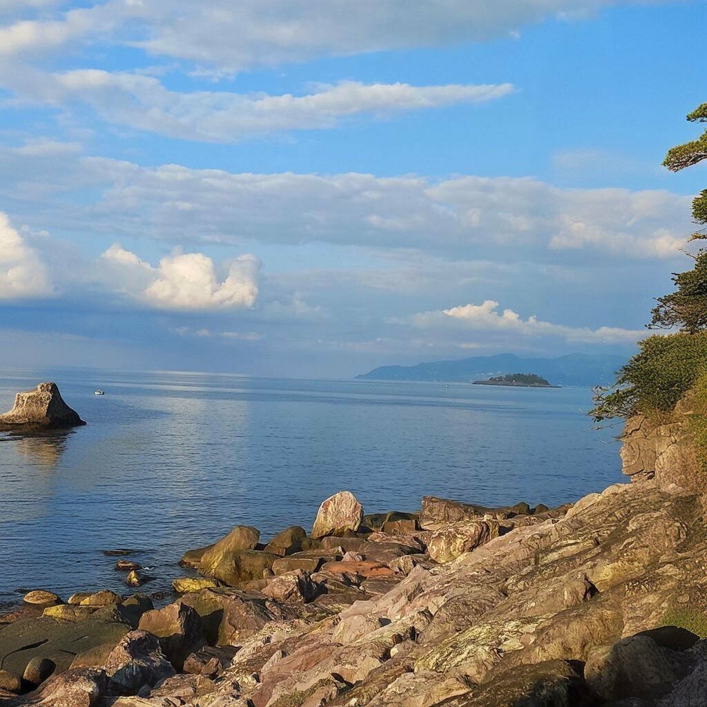 Kafe Sahil Fındık Evi, Giresun, foto