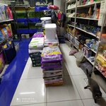 Avrasya Pet Shop (Denizli, Merkezefendi, Saraylar Mah., Cumhuriyet Cad., 13), petshop  Denizli'den