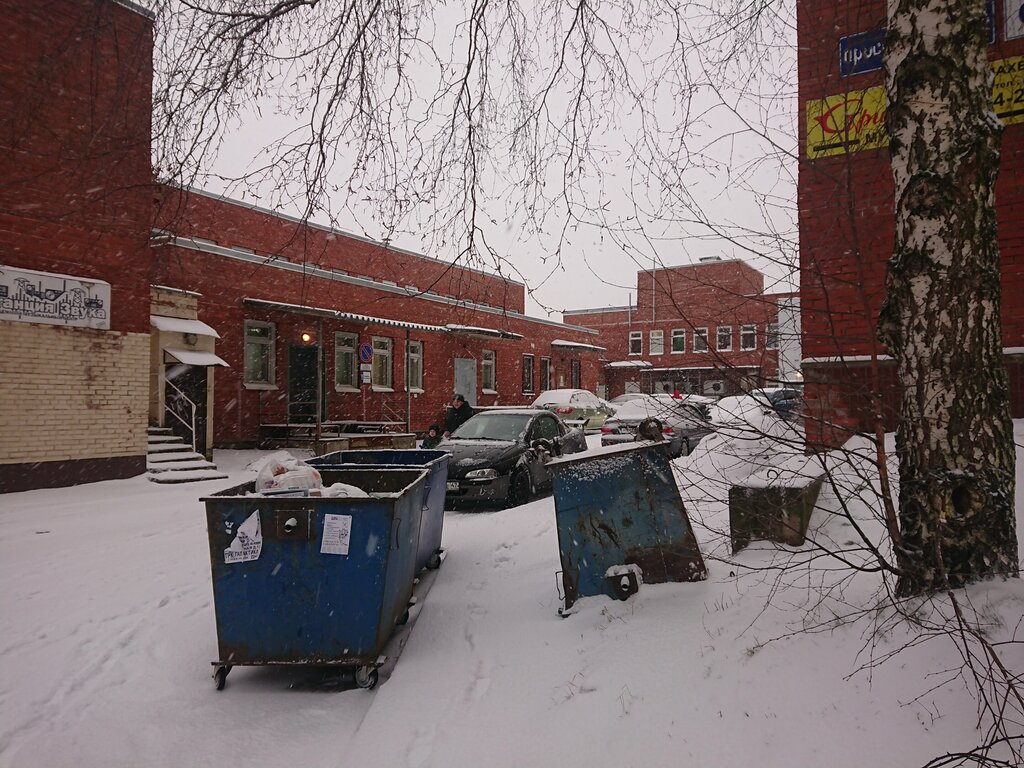 Ayrı çöp toplama noktası Точка сбора мусора, Sosnoviy Bor, foto