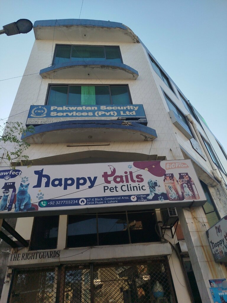 Güvenlik ve alarm sistemleri Arg security service, Lahor, foto