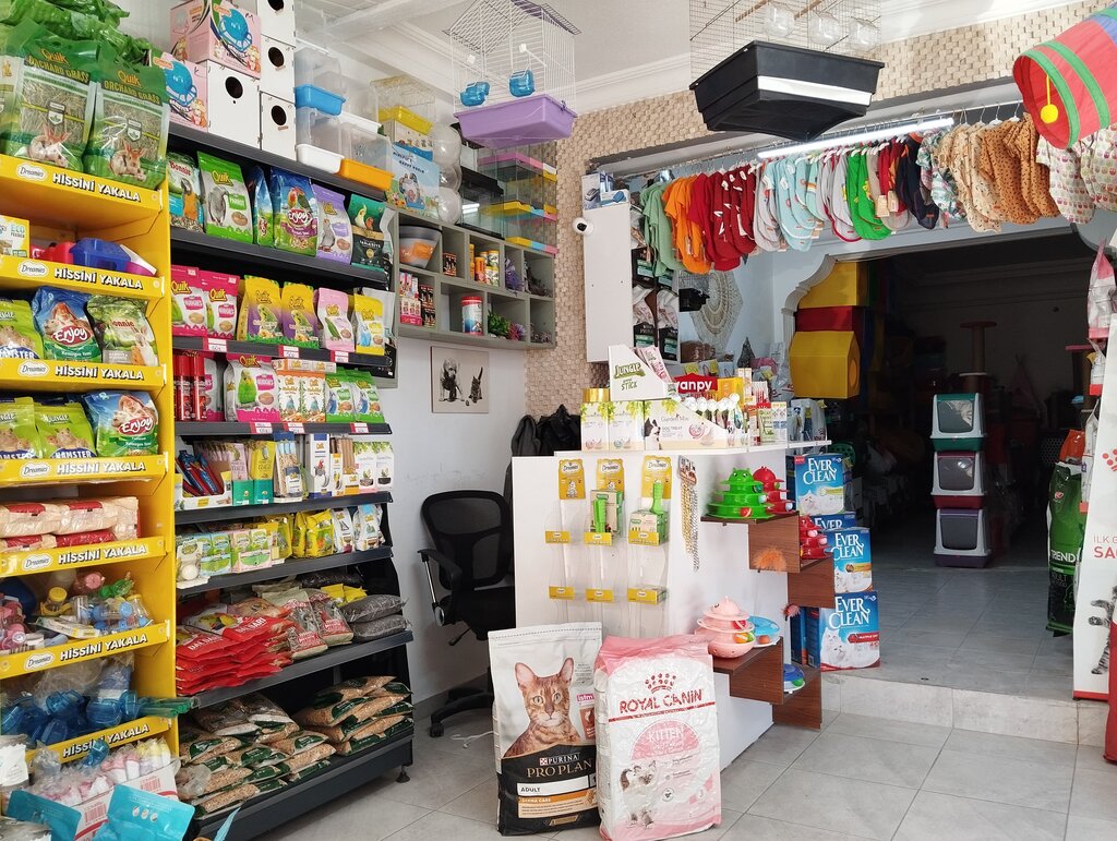 Petshop Pet Life Store Petshop, Manavgat, foto