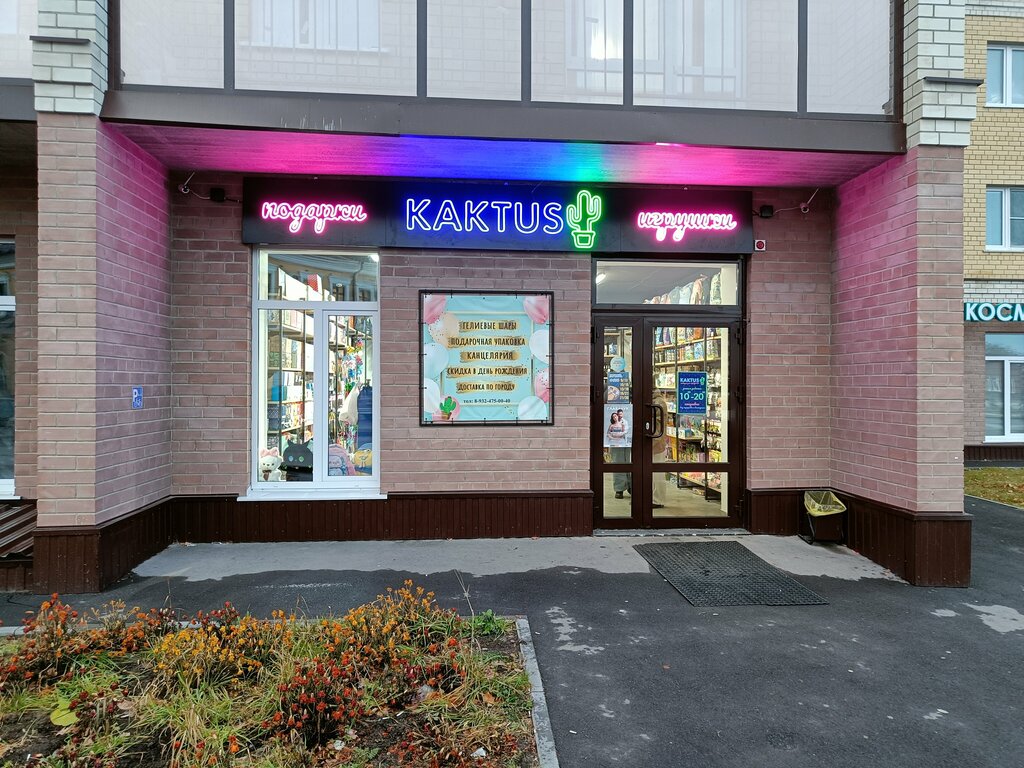 Hediyelik eşya mağazaları Кактус, İşim, foto