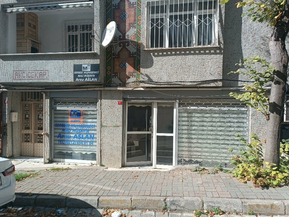 Mali müşavir Mali müşavir Arzu Aslan, İstanbul, foto