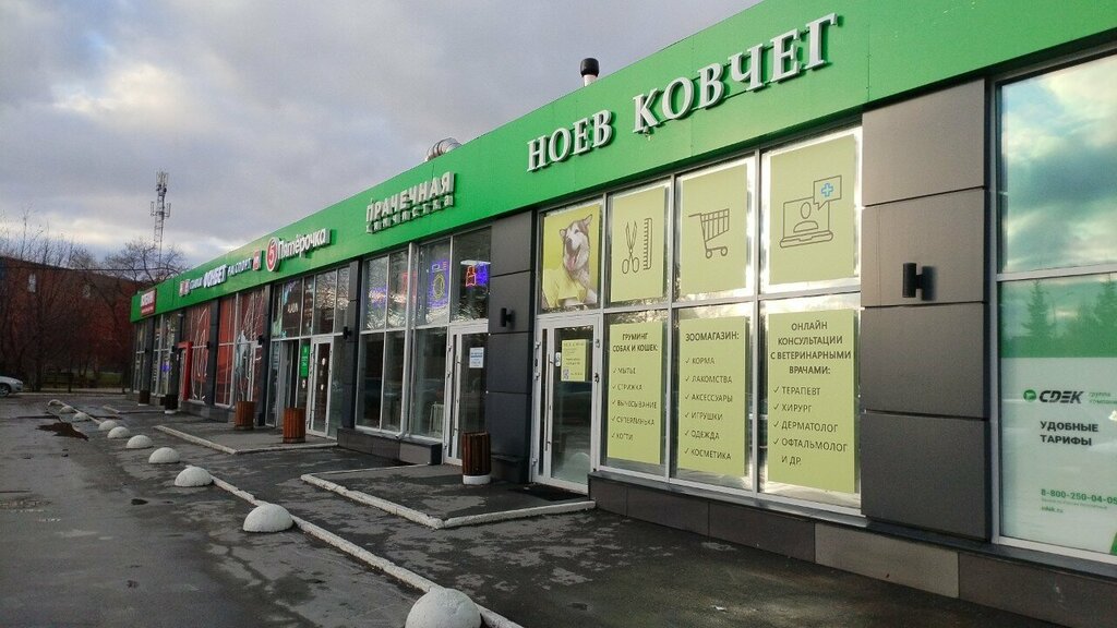 Evcil hayvan kuaförleri Ноев ковчег, Novosibirsk, foto