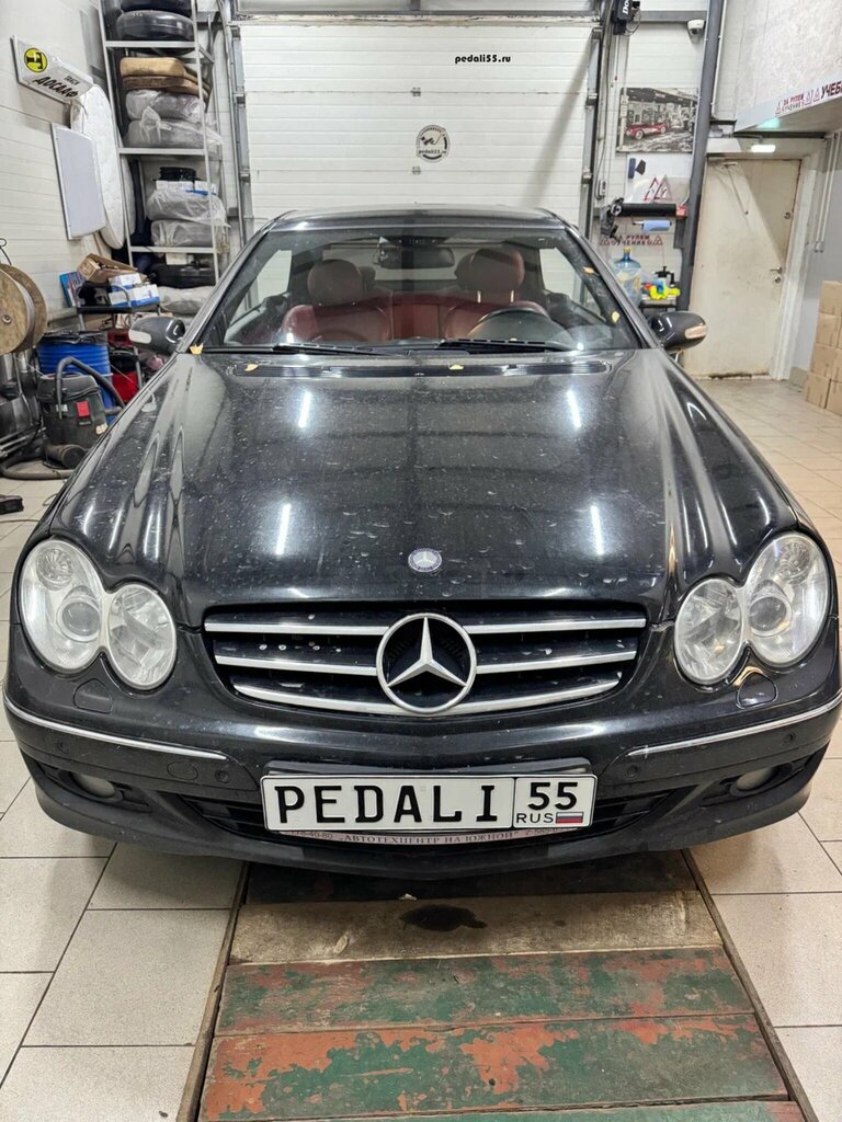 Araç modifiye Pedali 55, Omskaya oblastı, foto