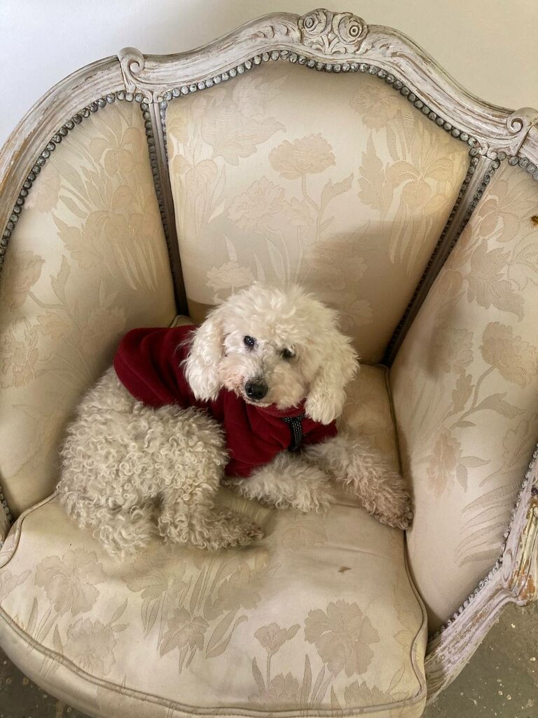 Giyim mağazası Tvoia. Lo, Saint‑Petersburg, foto