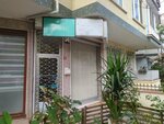 Türkiye Health Insurance (İstanbul, Kadıköy, Feneryolu Mah., Mazhar Osman Sok., 17), sigorta şirketleri  İstanbul'dan
