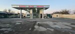 Natural petrolium (Kashkadarya Region, Karshi, Batosh mahalla fuqarolar yigʻini), otogaz dolum istasyonu  Karşı'dan