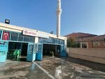 Çiçekçibaşı Balıkçılık (Pirebi Mah., Gazhane Sok., No:32A, Meram, Konya), balık çiftçiliği ve toptancıları  Konya'dan