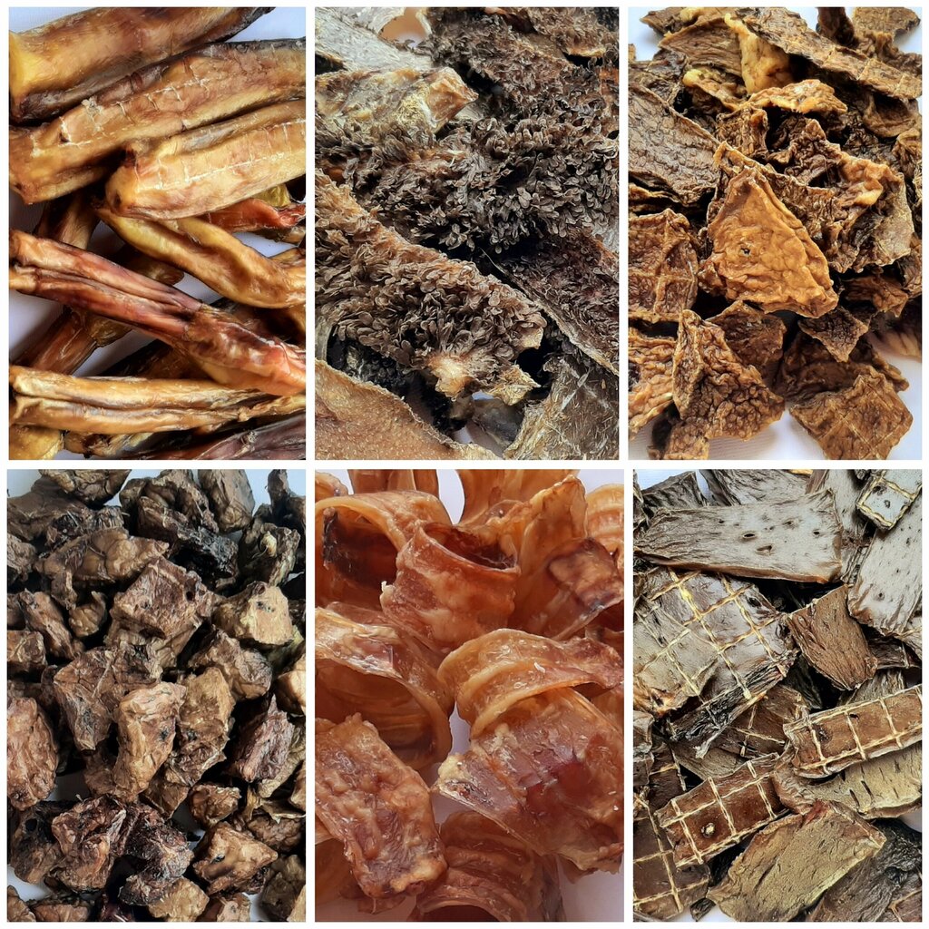 Evcil hayvan yemi üretimi ZooApp, Zheleznogorsk, foto