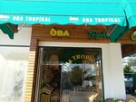 Oba tropical (Oba Mah., Azaklar Cad., No:21BC, Alanya, Antalya), manavlar  Alanya'dan