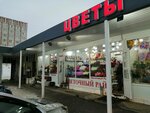 Цветочный рай (Geologicheskaya Street No:10Г), çiçekçiler  Surgut'tan