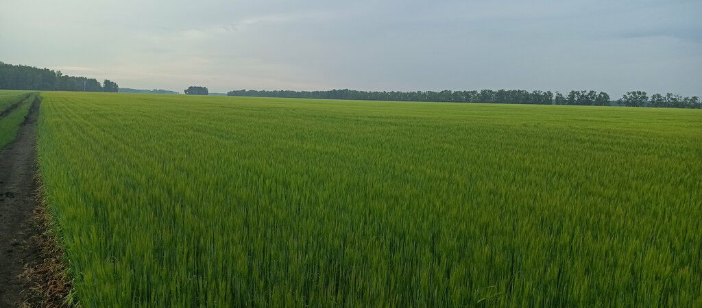Plastik ve polimer firmaları Планета-центр, Omsk, foto
