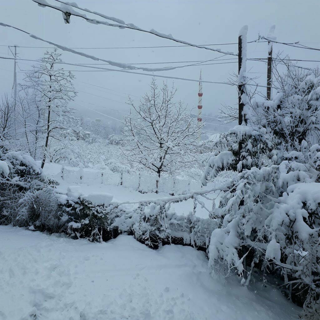 Muhtarlıklar Soğucak Mahalle Muhtarlığı, Çarşamba, foto