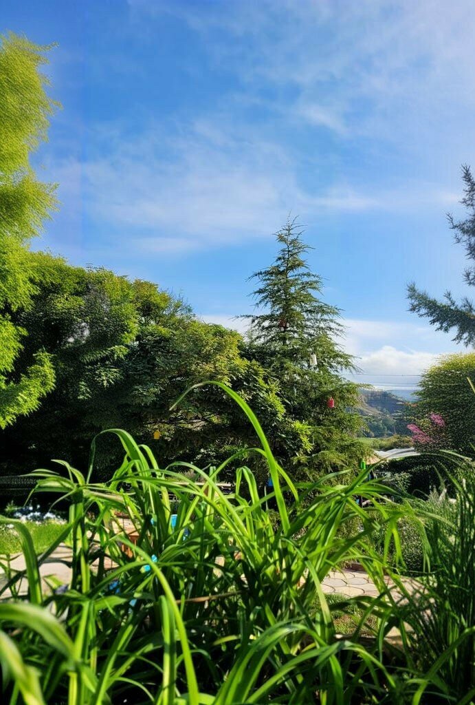 Kahve dükkanları Meshur Tostcu Artun Cafe, Tavşanlı, foto
