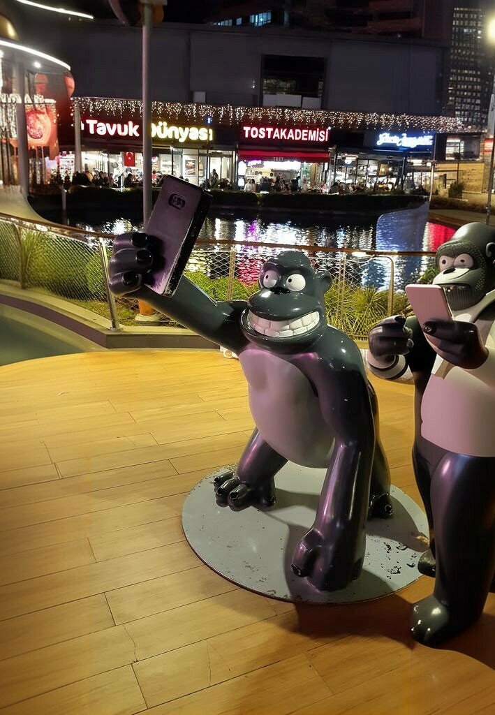 Kitap mağazaları Penguen Kitabevi Watergarden AVM, İstanbul, foto