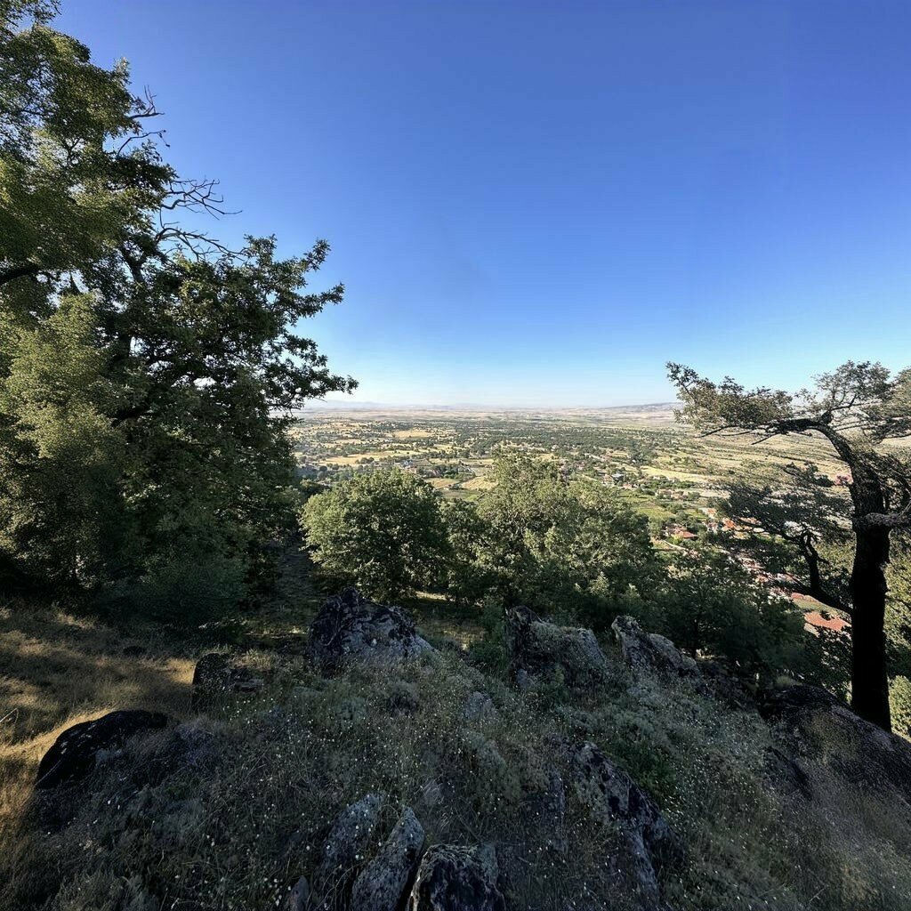 Muhtarlıklar Yenipınar Köy Muhtarlığı, Aksaray, foto