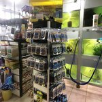 Cennet akvaryum (M. Oğuz Göğüş Cad., No:167A, Şahinbey, Gaziantep), akvaryumlar  Gaziantep'ten