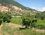 Efe Gayrimenkul (Camikebir Mah., Belediye Sok., No:11, Geyve, Sakarya), emlak ofisi  Geyve'den