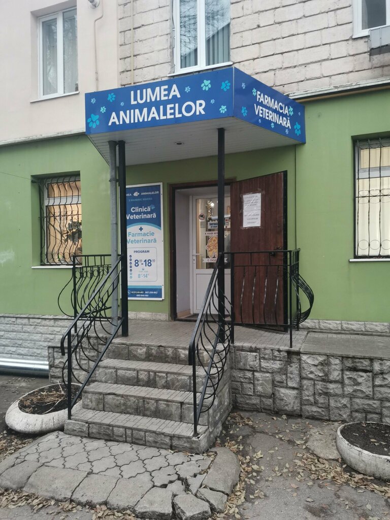 Veteriner klinikleri Clinică Veterinară Lumea Animalelor, Beltsi, foto
