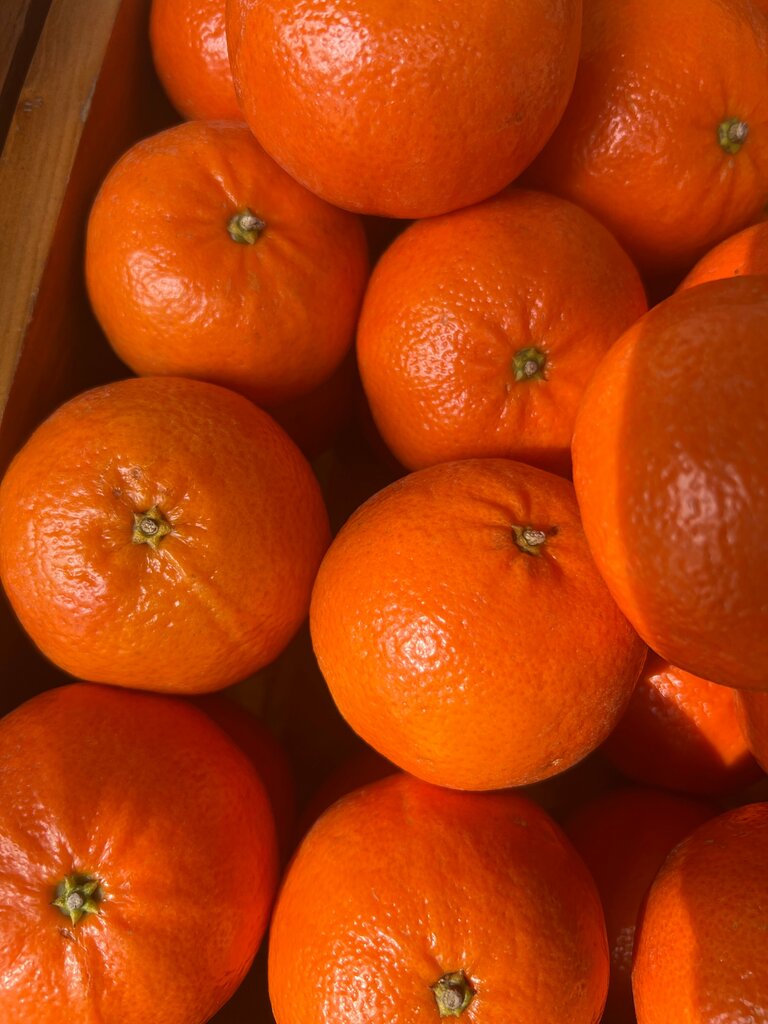 Manavlar Гушаи дехкон, Duşanbe, foto