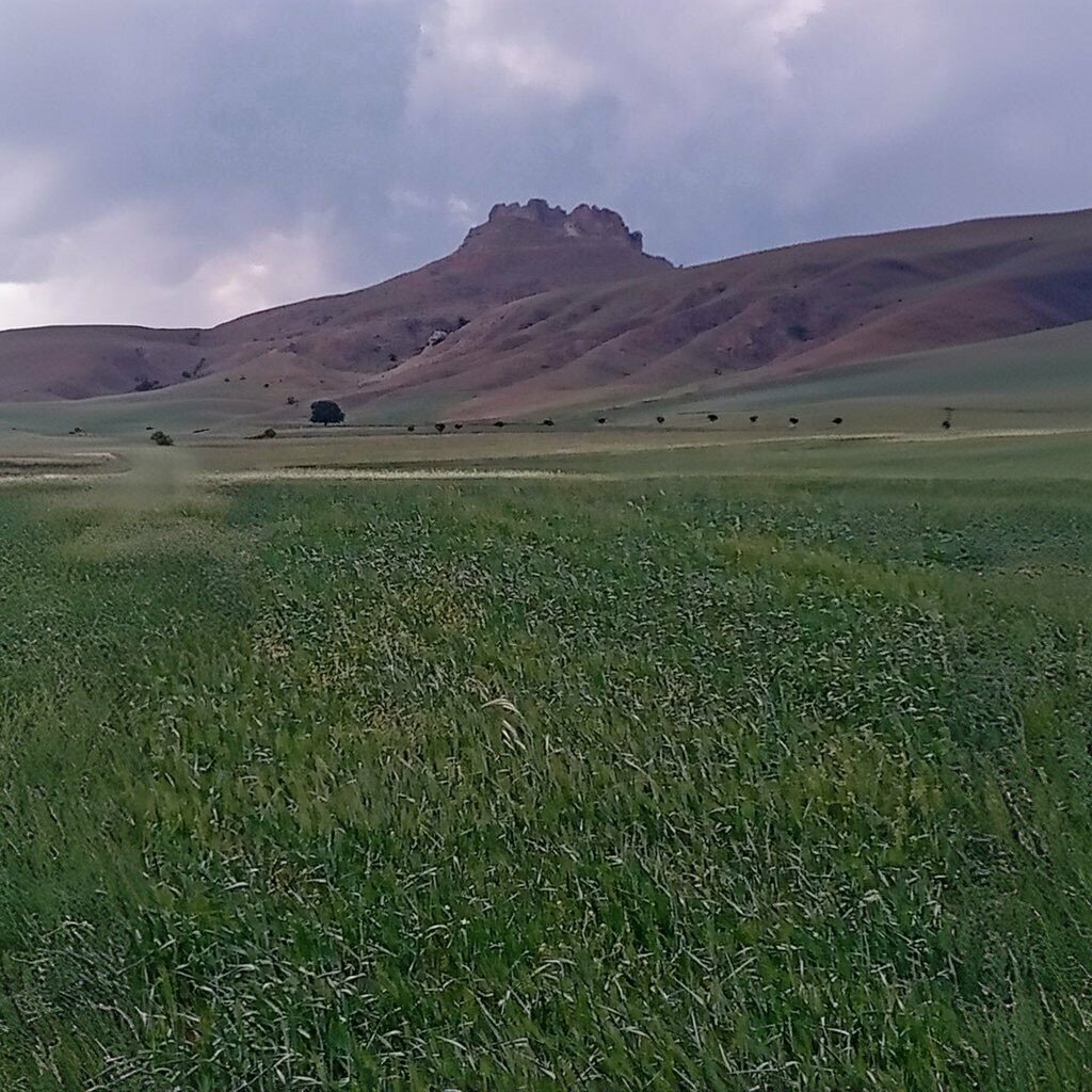 Muhtarlıklar Hacılı Köy Muhtarlığı, Yerköy, foto