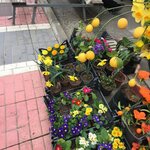 Mezitli Belediyesi Kadın Üretici Pazarı (Mersin, Mezitli, Yeni Mah., 33162. Sok.), gıda pazarı  Mersin'den