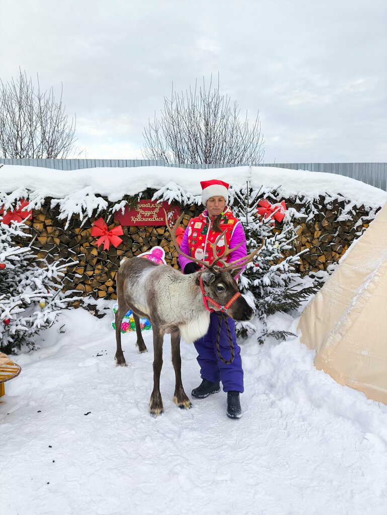 At ve binicilik kulüpleri Конный клуб Радуга, Permski krayı, foto