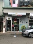 Gümüşsuyu (Gümüşsuyu Mah., Dereiçi Cad., Beykoz, İstanbul), petshop  İstanbul'dan