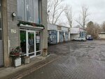 Libert Tur (Balti, sectorul Pămîntănî), otobüs taşımacılığı  Beltsi'den