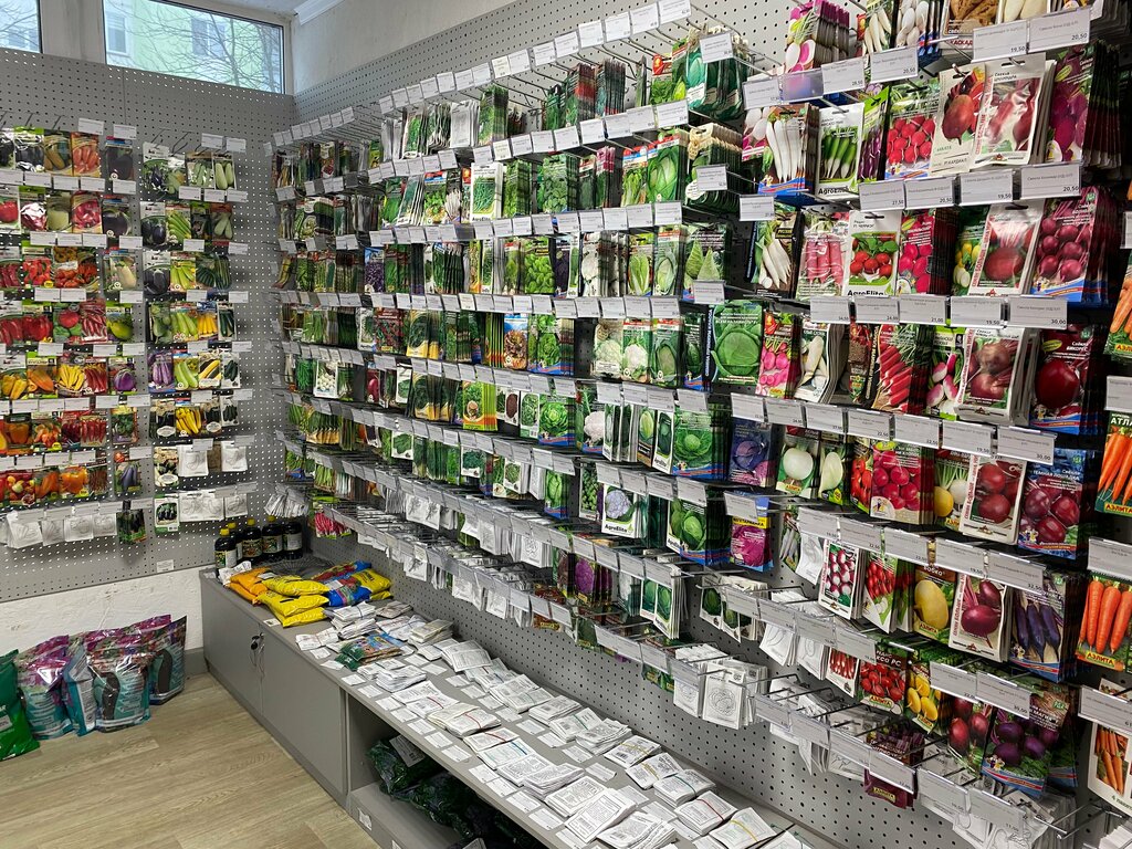 Tohum satan yerler Семена у Панова, Kursk, foto