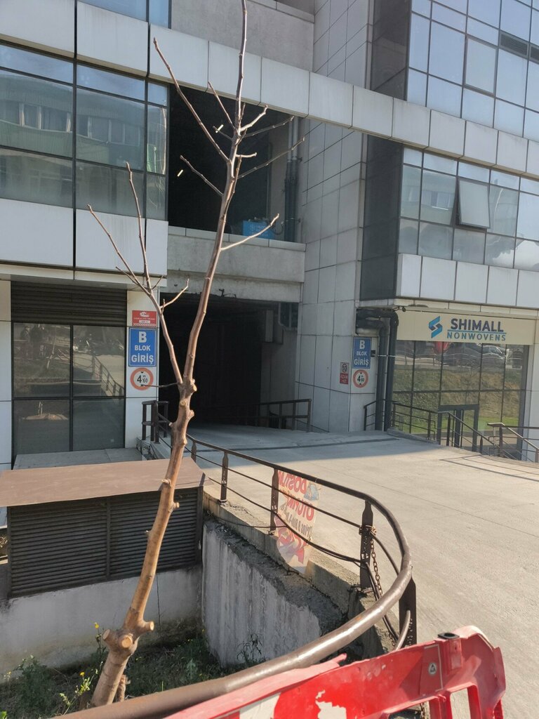 Sanayi kuruluşu Ata Mermer, İstanbul, foto