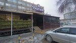 Borsok (Absamat Masaliev Avenue No:78В), kafe  Osh'tan