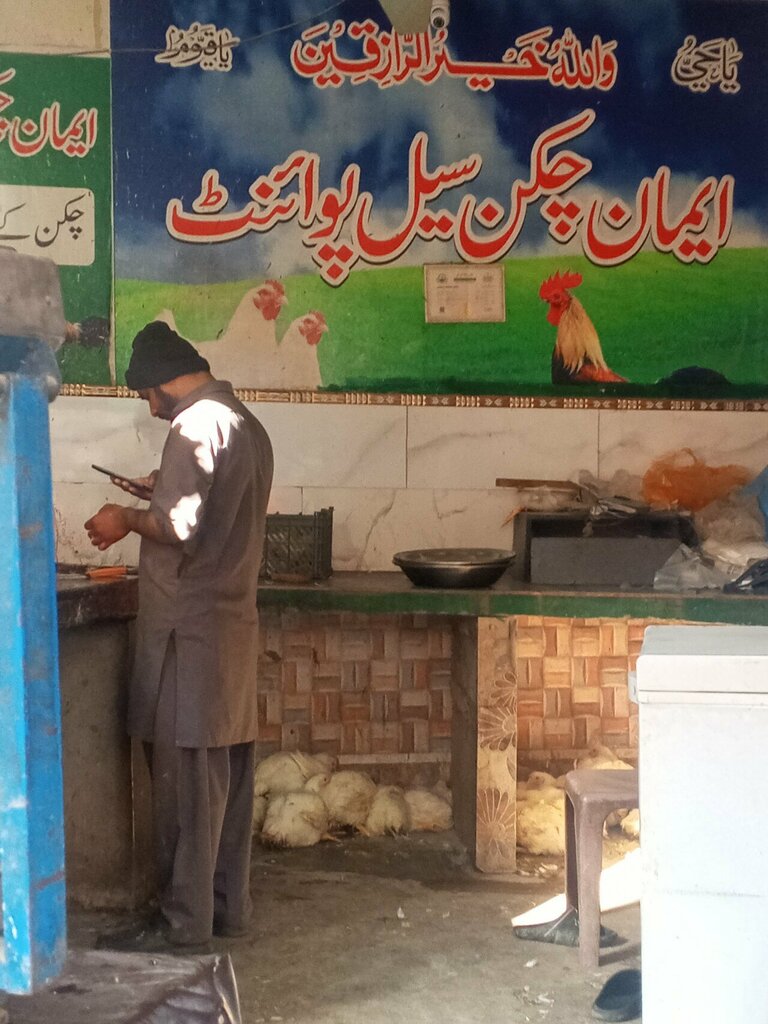Kasap, şarküteri Emaan Chicken Sale Point, Rawalpindi, foto