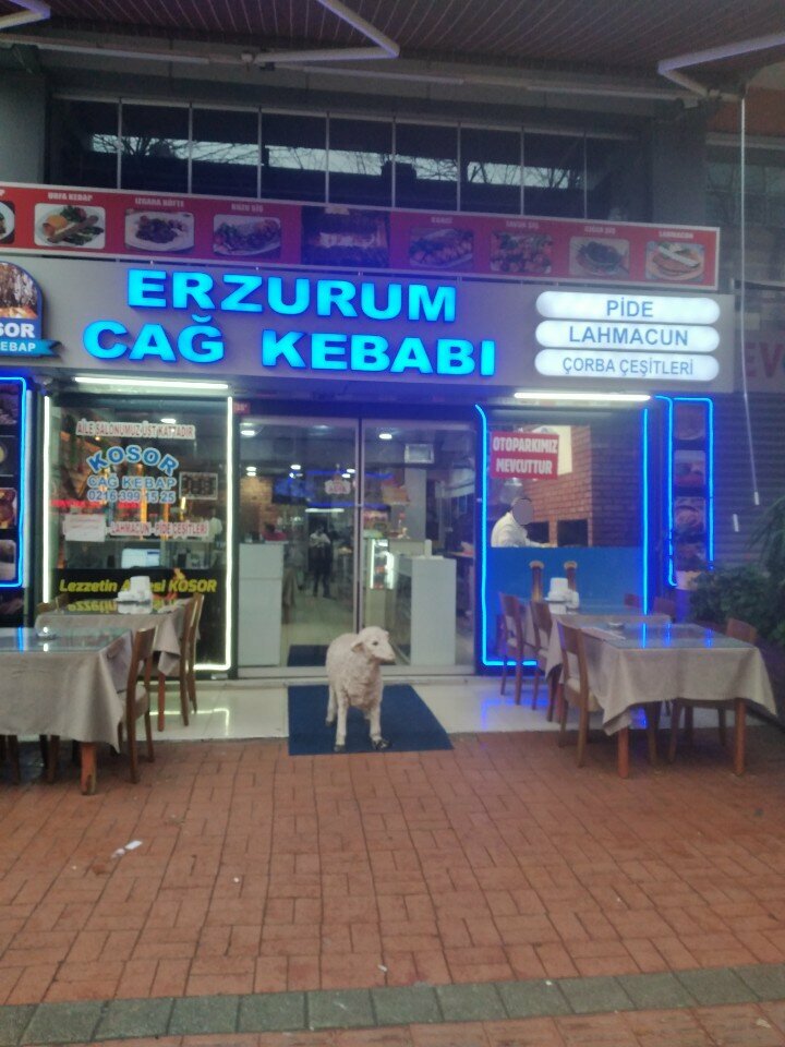 Restoran Kosor Erzurum Cağ Kebabı, İstanbul, foto