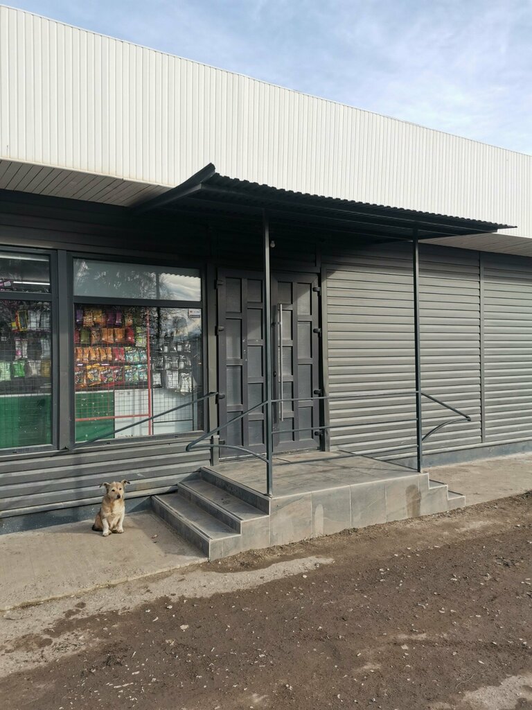 Market Basarabia Nord, Beltsi, foto