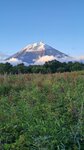 ЛарриКросс (Kamchatka Territory, mezhselennyye territorii Yelizovskogo munitsipalnogo rayona), geziler  Kamçatski krayından