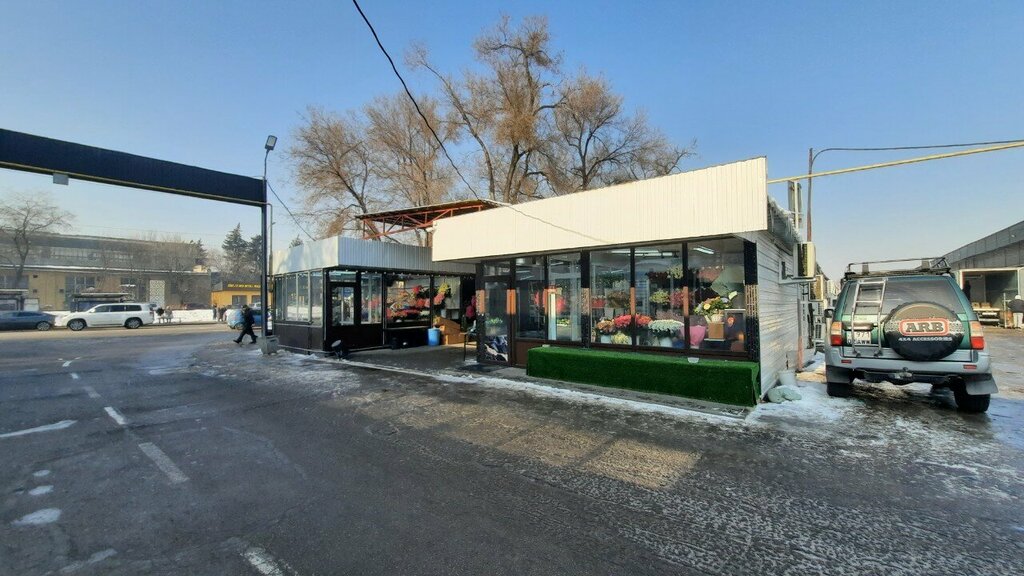 Tohum satan yerler Products for Vegetable Gardens, Almatı, foto