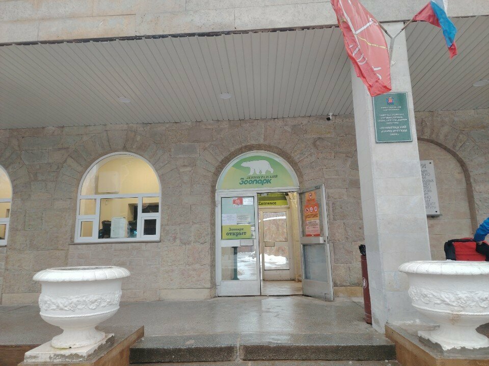 Hayvanat bahçeleri Львы, чёрный ягуар, бинтуронги, Saint‑Petersburg, foto