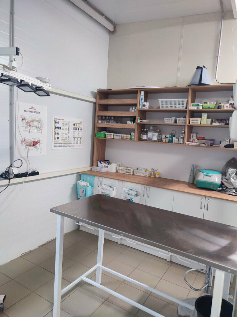 Veteriner klinikleri Ветеринарный госпиталь Подарок Судьбы, Ulyanovsk, foto